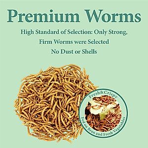 WORMSKING 2LB Dried Mealworms for Chickens, Wild Birds, Hedgehogs, Bird Feeder, Great Chicken Treats, Tasty Bird Food