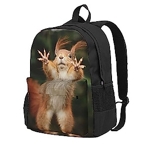 BAFAFA Squirrel Funny Animal Printed Lightweight Backpack Large Travel Backpack Sport Bag Casual Laptop Backpack