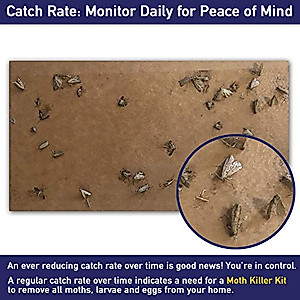 MothPrevention Powerful Moth Trap Refill Strips | 3X Twin Packs (6 Strips in Total) - for Clothes Closet Moths - Clothes Moth Traps | Moth Pheromone Traps for House | Results Guaranteed!