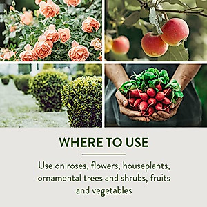 Garden Safe Neem Oil, 10 Fl Oz,  Case Pack of 6