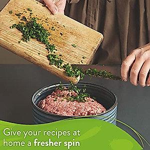 500+ Santo Cilantro Seeds for Planting Indoors or Outdoors - Non-GMO, Heirloom Herbs, Coriander Plant Seeds - Cilantro Herb Seeds for Your Indoor Herb Garden