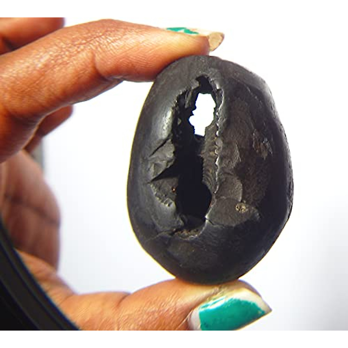 phoenix888 Kurma Laxmi Navnidhi Purnachakra Purnagarbha Shaligram