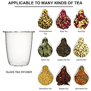 Glass Tea Infuser Cup with Strainer and Lid Gift Kit, Borosilicate Glass Teacup with Tea Filter for Blooming Tea and Loose Leaf Tea, Filter 99% of Tea Leaves, Lead-free, 17oz
