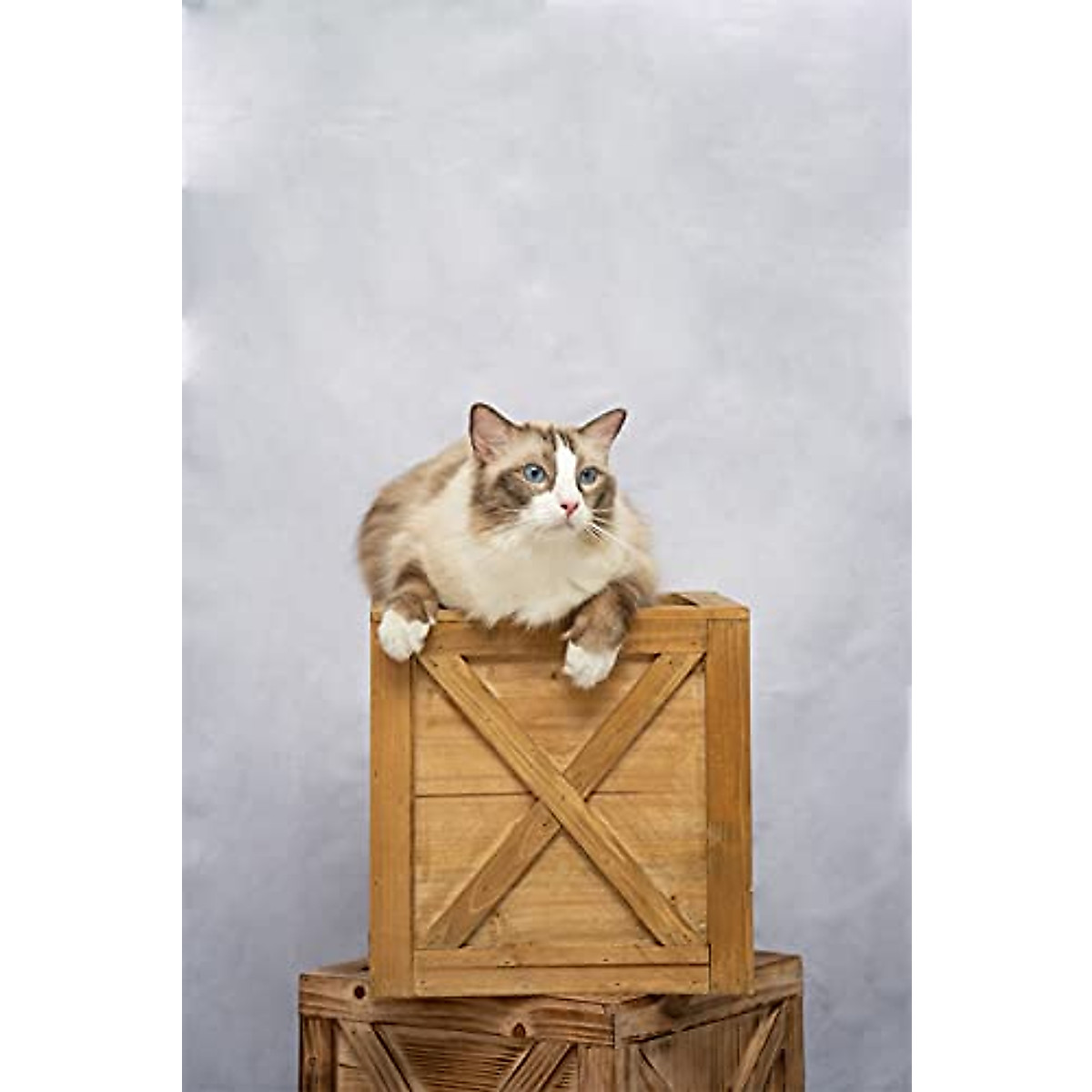 Kate 5x7ft Light Grey Photo Backdrops Gray White Backdrops Abstract Photoshoot Backgrounds Headshot Backdrops Newborn Photography Backdrop