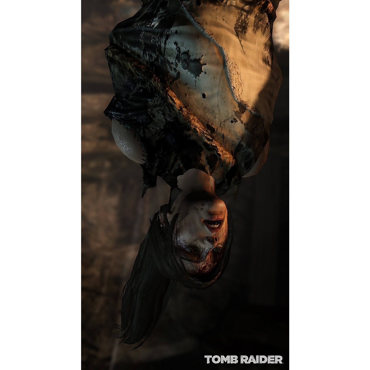 Tomb Raider (Renewed)
