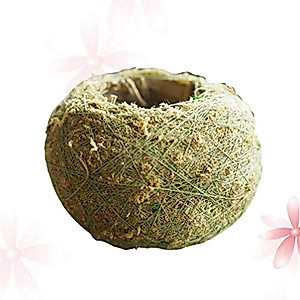Generic 5pcs Moss Ball Planter Japanese Style Natural Kokedama Flower Vase Flower Pot Creative Sphagnum Flower Holder Potted Hydrating Bonsai Plants Containers for Home Wedding Decor