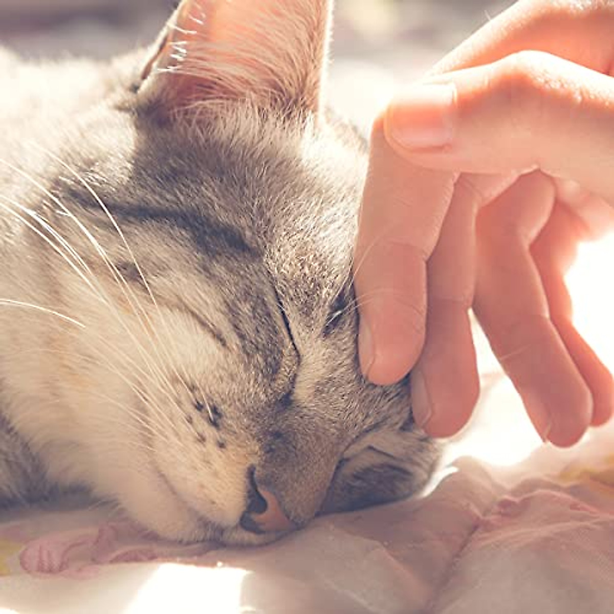 Cat Pet Bed Cave- Indoor Enclosed Covered Cavern/House for Cats Kittens and Small Pets with Removable Cushion Pad by PETMAKER, Tan/White Animal Print