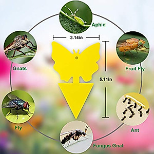 50 Pack Yellow Sticky Traps, Fruit Fly Fungus Gnat Trap for Indoor/Outdoor Use, Houseplant Sticky Bug Insect Catcher Glue Trappers
