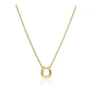 LUSENME Best Friend Necklaces for 2 Good Luck Elephant Necklace Horseshoe Necklace for Women Girls BFF (Gold Horseshoe)