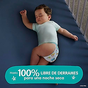 PAMP BDry S7 Super 1/54