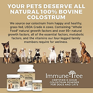 Immune-Tree Colostrum Probiotic Powder for Cats | Supplement for Cat Allergy, Immune Support, Skin and Coat & Itching Relief | Colostrum Powder for Cats Immunity System | Made in USA | 1.55oz