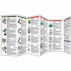 Medicinal Plants of the Eastern Woodlands: A Folding Guide to Familiar Species (Outdoor Recreation and Survival)