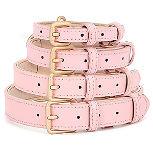 WHIPPY Leather Dog Collar for Small Medium Large Dog Adjustable Soft Breathable Leather Padded Puppy Collar with Alloy Buckle Heavy Duty Waterproof Classic Dog Pet Collar,Pink,M