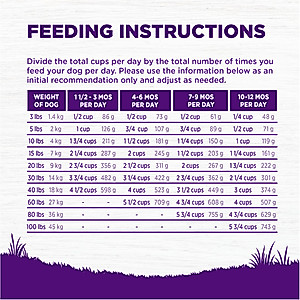 Wellness Complete Health Grain Free Dry Puppy Food, Chicken & Salmon Recipe, 22 Pound Bag