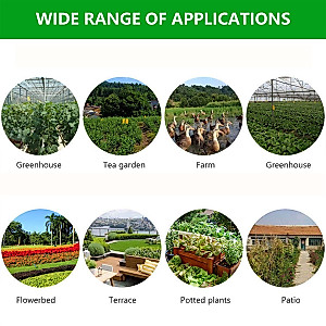 lanju 12pcs Plant Trap for Fruit Fly, Fruit Fly Sticky Trap for Mosquito and Bug Indoor & Outdoor for White Flies Mosquitos Fungus Gnats Flying Insects Houseplant