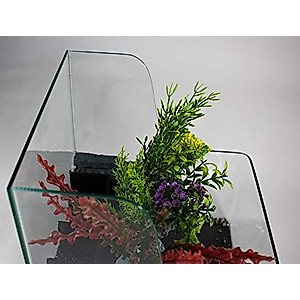 PENN-PLAX AquaTerrium Planting Tank – Hydroponic Aquarium with Integrated Filter System for Live Plants and Fish – 1.85 Gallons