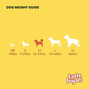 Little Loyals |100% Natural Premium Heather Wood |Dog Chew Toy |Long Lasting Treat |Odorless |Fully Digestible |Gluten Free |Grain Free |for Aggressive Chewers |Dental Care (Medium)