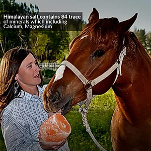 Himalayan Nature Horse Rock Salt, Animal Lick Salt - 8lbs, Elk