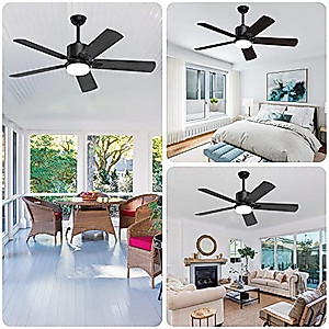 Biukis Ceiling Fans with Lights and Remote, 52 Inch Outdoor Ceiling Fan with Remote, Modern Black Fan with Lights for Patio Farmhouse Bedroom