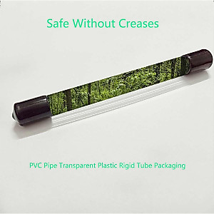 Forest Green Window Privacy Film Frosted Glass Static Cling Bathroom Door Covering Sun Blocking Window Sticker Home Decoration Forest Summer Forest Nature Themed Privacy Film 27.6Wx39.4L-inch x2 Pcs