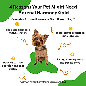 Pet Wellbeing Adrenal Harmony Gold - Veterinarian Formulated - Dog Cushing's, Adrenal Health, Cortisol Balance, Antioxidant Support - Natural Herbal Supplement for Dogs 4 fl oz (118 ml)