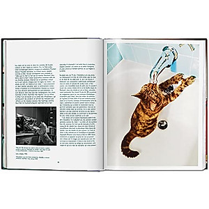 Cats: Photographs 1942 - 2018