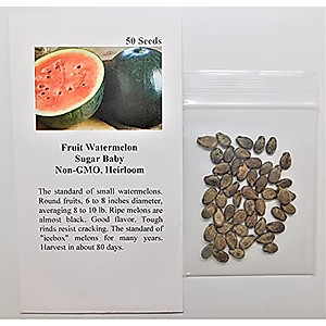 David's Garden Seeds Fruit Watermelon Sugar Baby FBA-4756 (Red) 50 Non-GMO, Heirloom Seeds