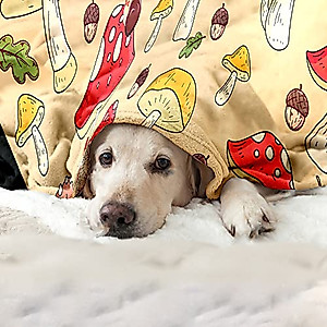 Mushroom Fleece Blanket Throw Blanket for Couch Soft Cozy Fuzzy Plush Bed Blankets & Throws Cute Decor Gifts for Kids Adults Christmas,60"X50",Mushrooms Snail Nut Chestnut Pattern