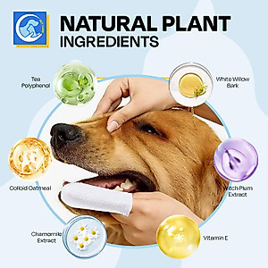 PUPMATE Dental Care Wipes for Dog & Cat- Teeth Cleaning Finger Wipes for Plaque and Tartar Removal, Safe & Gentle Disposable Toothbrush Wipes for Fresh Breath & Gum Care - 50 Pcs