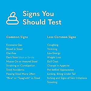 MySimplePetLab Routine Cat Stool Test Kit | Fast and Accurate Cat Worms and Intestinal Parasite Test | Mail-in Stool Sample Kit for Early Detection and Treatment of Cat Worms and Giardia