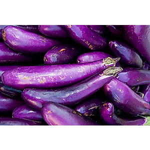 Gaea's Blessing Seeds - Eggplant Seeds - Long Purple Heirloom Non-GMO Seeds with Easy to Follow Planting Instructions - 91% Germination Rate Net Wt. 1.0g