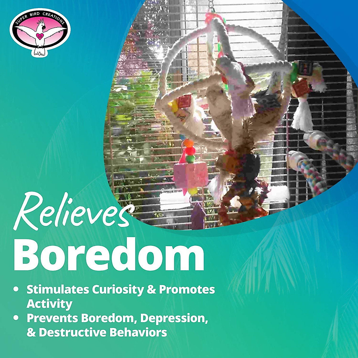 Super Bird Creations SB445 Fun Round Swinging Orbiter Bird Toy, Small To Medium Size, 14” x 10”, Varies