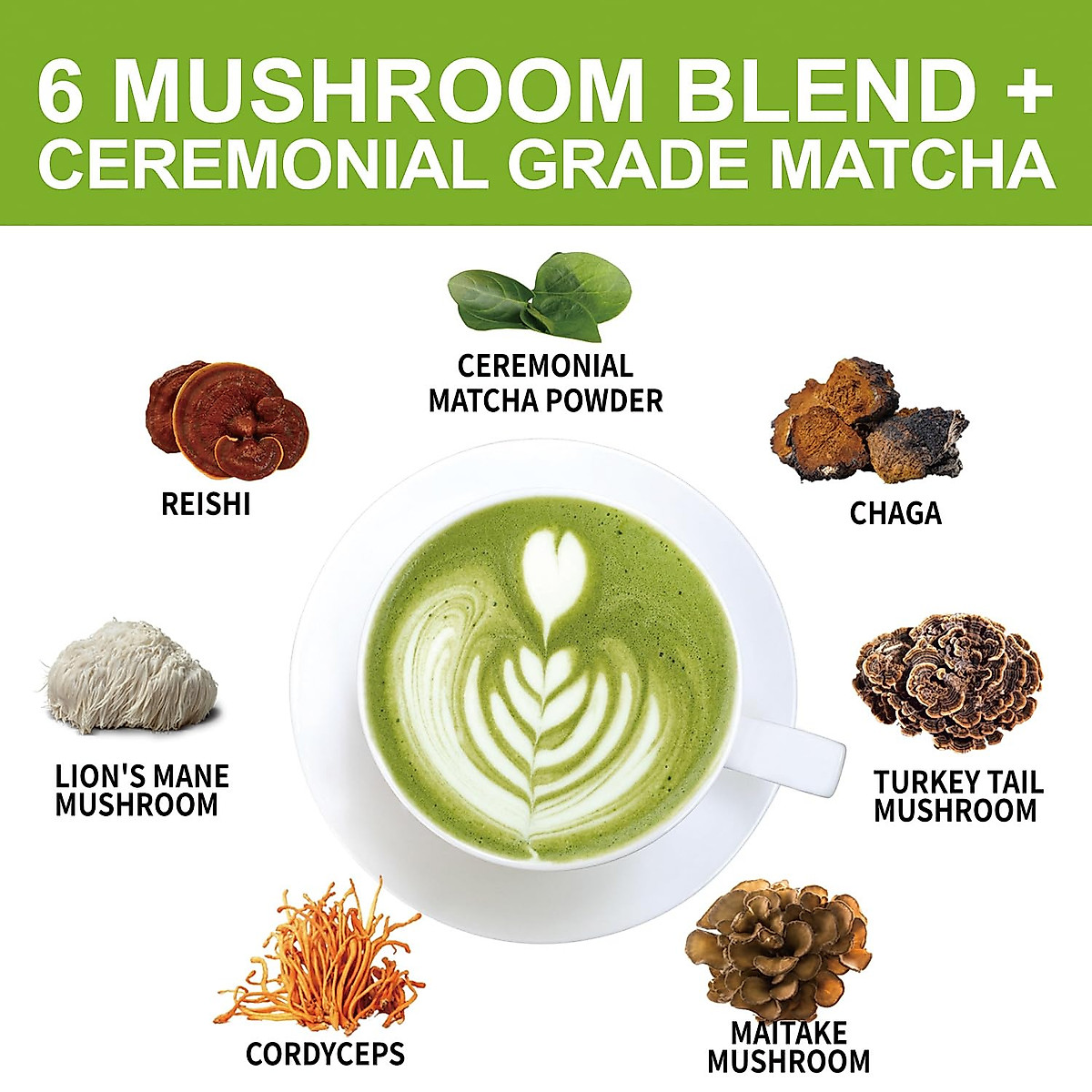 Mushroom Matcha Powder, Unsweetened, Mixed with Six Mushroom Extracts and Ceremonial Grade Matcha Green Tea, 24 Servings