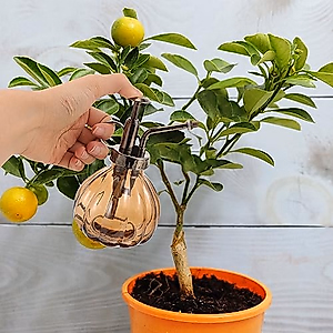 SAFIGLE Watering can Plants Spray Mister Glass Mister Spray Bottle Water Spritzer for Plants Succulent Accessories Succulent Watering Bottle for Home Balcony Glass Spray Bottle