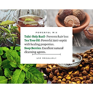 Herbal Dermatitis Dry Shampoo, Itchy Scalp Folliculitis Solution with Leave-In Tea Tree Oil Anti-Dandruff Conditioner for Men and Women. Safe and Effective for Sensitive Skin and Scalp.