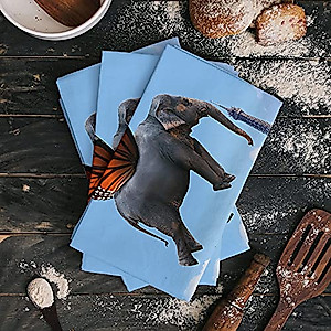 Big buy store Kitchen Towels Set of 4 Butterfly Elephant Dish Towels and Dishcloths Sets Decorative Tea Towel Funny Animal Absorbent Hand Towels for Kitchen Drying Bathroom Decor Gift 18x28 Inch