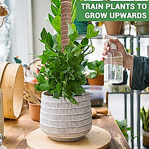 Moss Pole for Plants Monstera, Extra-Long 115 inch Moss Stick for Climbing Plants, 4 Pcs 20.5" and 2 Pcs 16.5" Coco Coir Pole for Indoor Potted Plants Grow Upwards, Totem Pole Plant Support