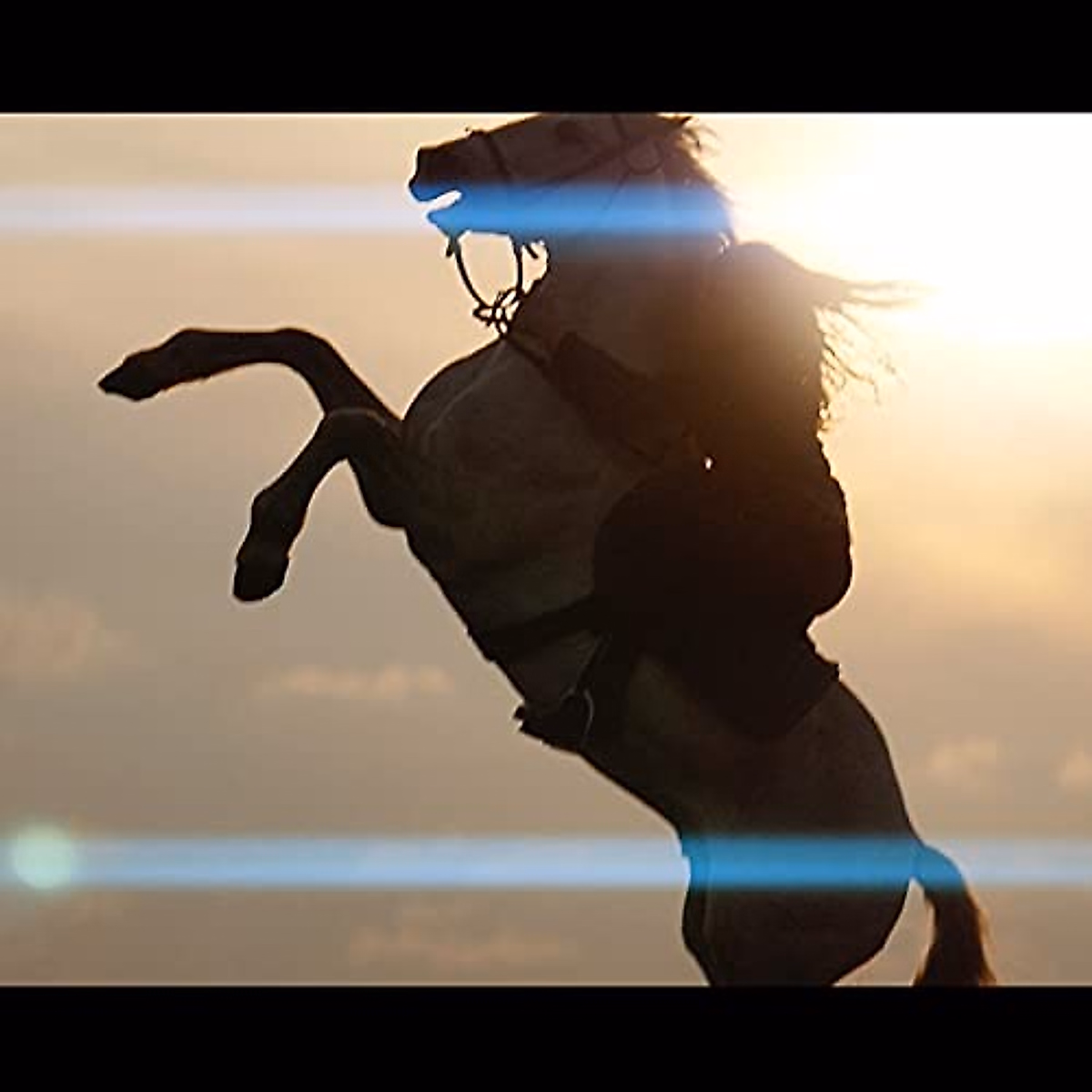 SIRUI 75mm F1.8 1.33X APS-C Anamorphic Lens for E Mount, Blue Flare