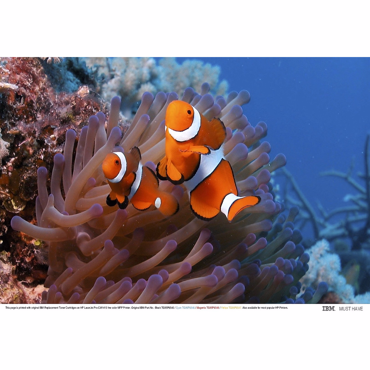 IBM Remanufactured Toner Cartridge - Alternative for HP 312A (CF381A)