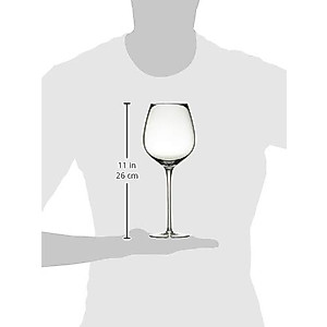 LSA WI05 Wine Red Wine Glass 25.2 fl oz/H10.25in Clear x 4