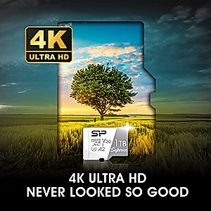Silicon Power 512GB Superior Micro SDXC UHS-I (U3), V30 4K A2, Compatible with GoPro Hero 9 High Speed MicroSD Card with Adapter