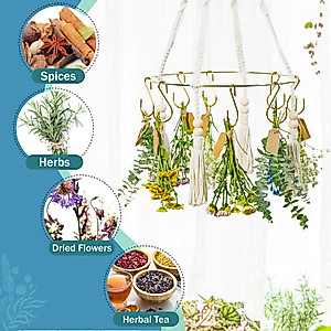 PROTITOUS 2pack Herb Drying Rack with 20pcs Golden Herb Dryer Hooks and 25PCS Brown Gift Tags and 32ft Natural Jute Twine herb Dryer,herb Dryer,Hanging Herb Dryer Rack(tassels style)