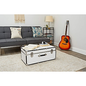 Seward Trunk` 30" Storage Trunk (White)