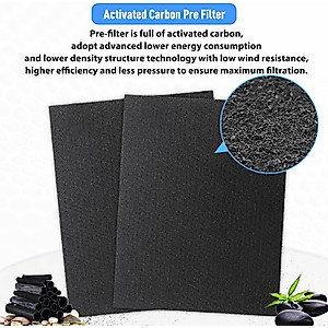 115115 Replacement Filter A Size 21 Compatible with Winix PlasmaWave 5300-2, C535, P300, 6300-2, 5300, 9000 Air Purifier, 2 True HEPA Filter 8 Carbon Pre-Filters