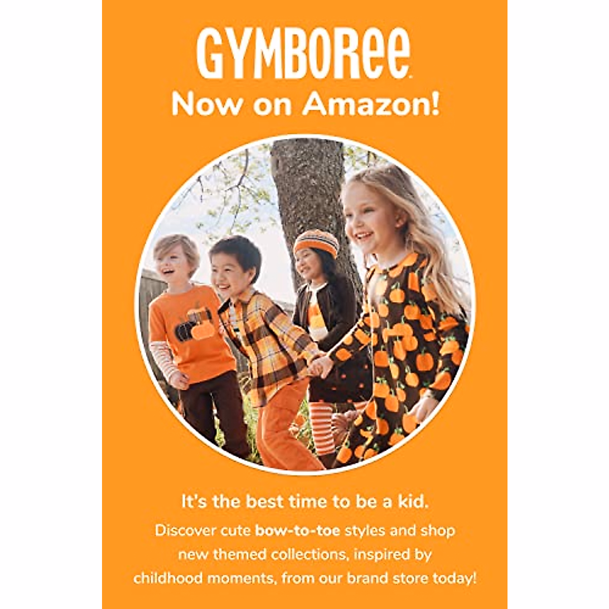 Gymboree Boys and Toddler Embroidered Graphic Long Sleeve Raglan T-Shirts, County Horse, 5T