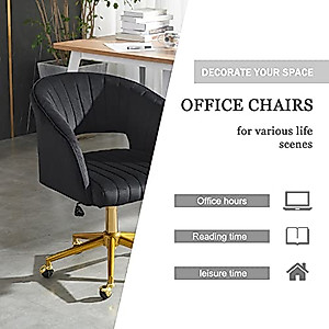Kiztir Velvet Home Office Chair, Modern Swivel Desk Chair with Gold Base, Round Solid Wheel, Adjustable Vanity Chair for Study, Living Room, Bedroom (Black)