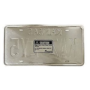 Panguru 2 Pieces Prop License Plates from Supernatural, Metal Stamped Number Tags, Movie Prop Vanity Plate, 12x6 inches
