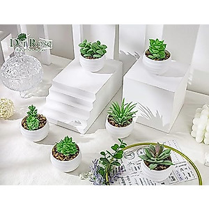 Der Rose Set of 6 Succulents Plants Artificial in Pots Small Fake Plants for Bedroom Aesthetic Living Room Office Shelf Bathroom Decor