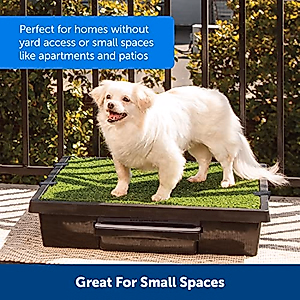 PetSafe Pet Loo Portable Dog Potty, Alternative to Puppy Pads, Large