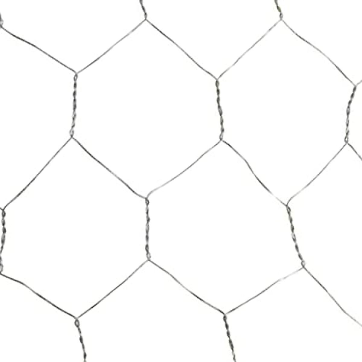 Galvanized Poultry Netting, 24-In. x 50-Ft.